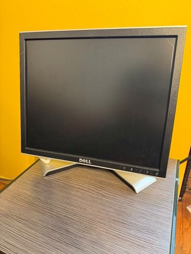 Dell 1708FPT LCD 17" Monitor Silver 4 USB Ports VGA/DVI Rotatable ...
