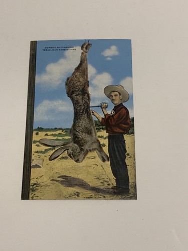 TX- Texas, Cowboy With Texas Jack Rabbit, Vintage Postcard | eBay