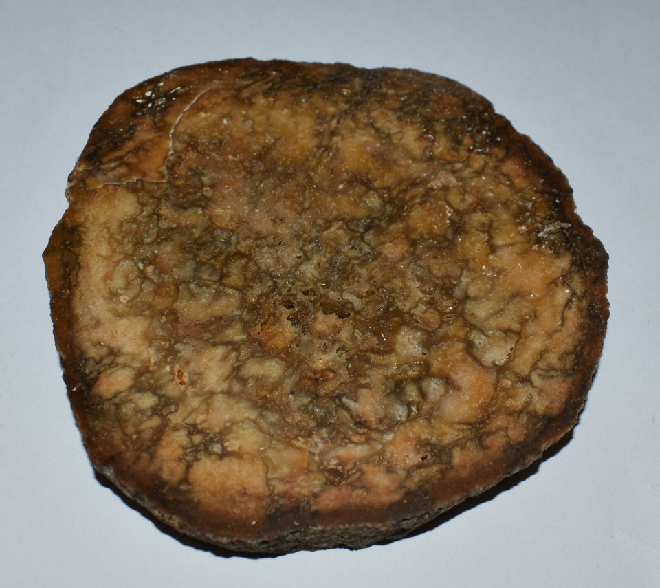 Brain Geode Drusy Chalcedony from North Carolina USA Polished Slab | eBay