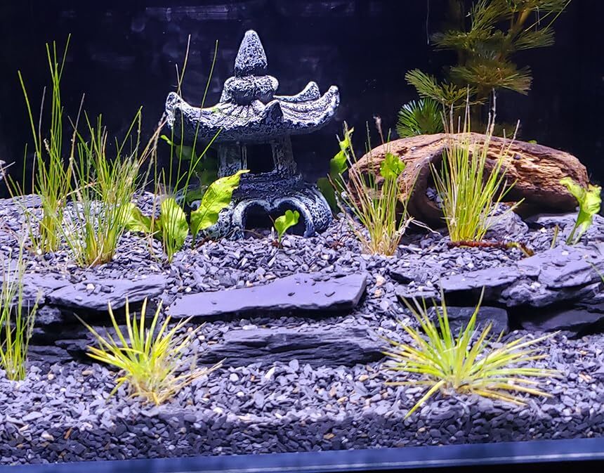 Natural Slate Stone 3 to 5 inch Rocks for Miniature and Fairy Garden ...