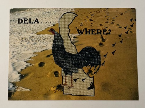 Vintage Postcard Small Wonder Delaware Unposted Dela…where? | eBay