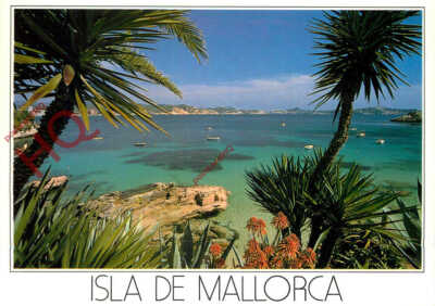 Picture Postcard-:Mallorca | eBay UK
