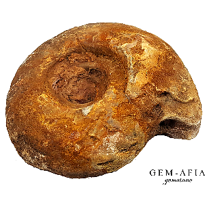 gem-afia | Boutiques eBay