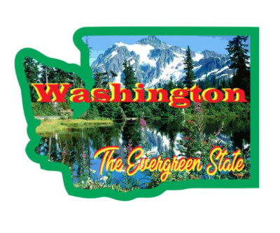 12" washington evergreen state bumper sticker decal usa made | eBay