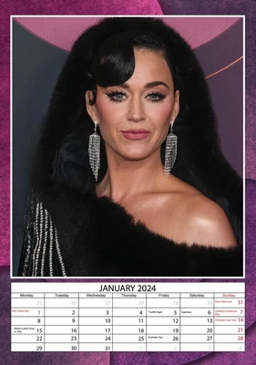 Katie Perry Calendar 2024 | Grelly UK