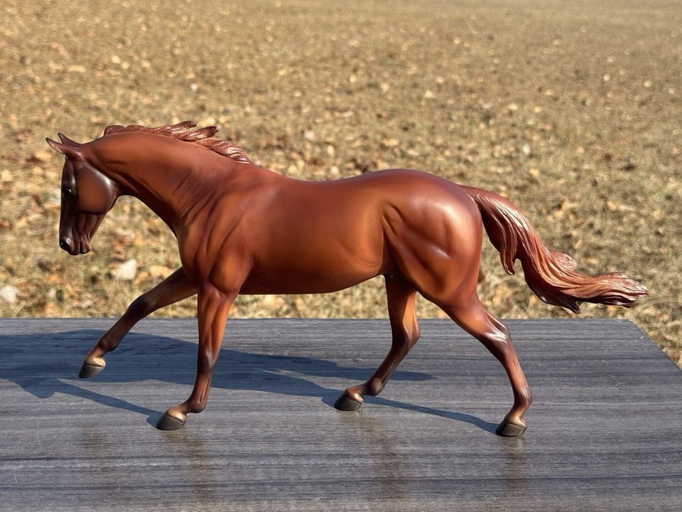 Breyer BreyerFest 2019 Hal Australian Stock Horse Hal Dundee Store ...