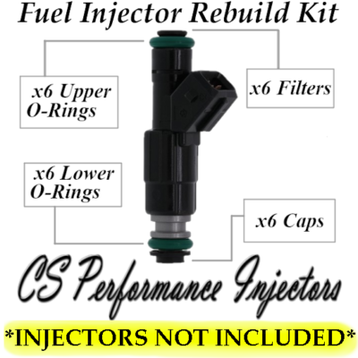 Fuel Injector Repair Rebuild Service Kit ORings Filters Caps CSKBO36 ...