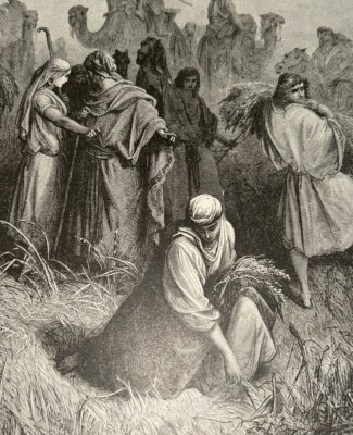 Bible Gallery Illustration RUTH AND BOAZ 1880 Gustave Dore Engraving | eBay