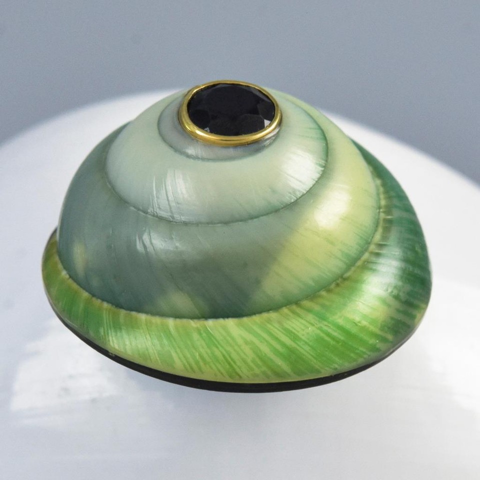 Evil Eye Design Natural Green Land Snail Asperitas bimaensis Black ...