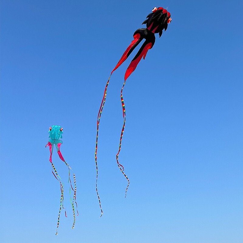 3D 3-Color Goldfish Soft Kite Soft Animal Professional Kites Outdoor ...