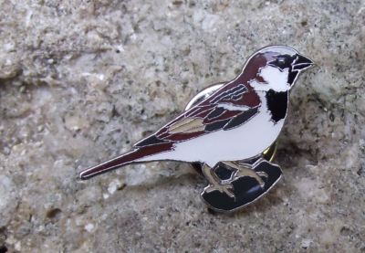 North American House or English Sparrow Brown Garden Bird Brooch Tie ...