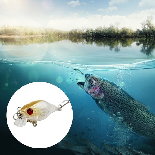 Crank Bait Artificial Sharp Hook 3d Eyes Fishing Bait Plastic | eBay