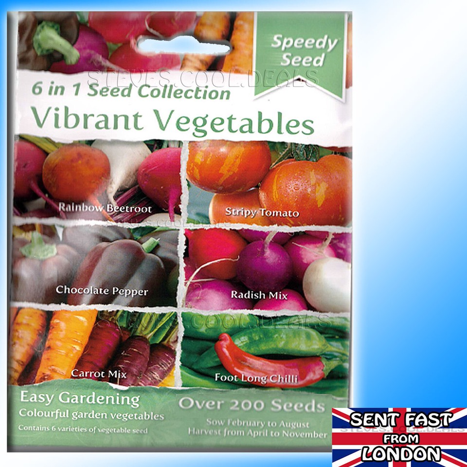 KITCHEN SALAD SEEDS BASIL ROCKET PLUM TOMATO RADISH ONION CHILLI ...