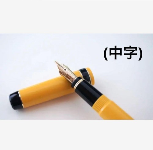 /Smooth Writing/Popular Pilot Fountain Pen Lucina | eBay