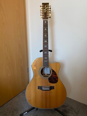 12-saiter Westerngitarre JRC12-40E Sigma | eBay.de