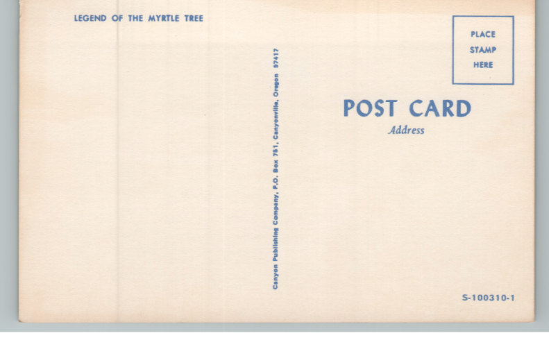 Vintage Postcard Legend Of The Myrtle Tree | eBay