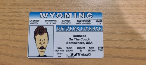 Butthead- Beavis And Butthead- Novelty ID License | eBay