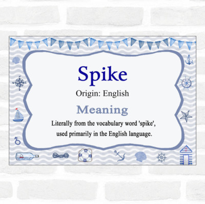 Spike Name Meaning Nautical Certificate | eBay UK