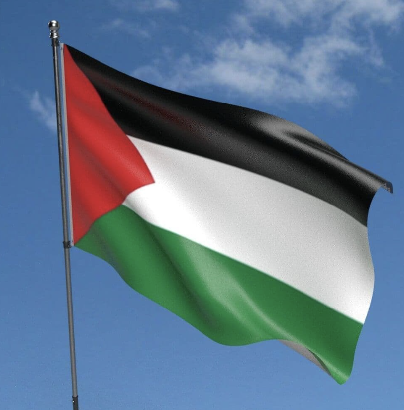 Palestine Flags & Bunting - 5x3' 3x2' & Giant 8x5' Table Hand | eBay UK