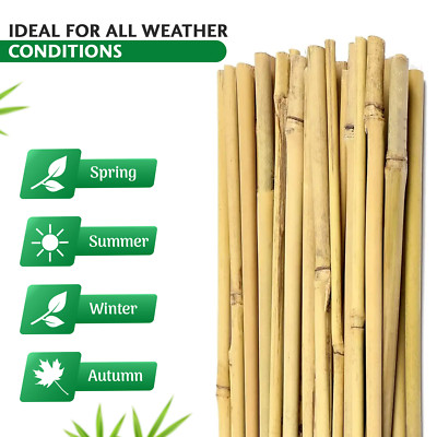 Strong Heavy Duty Professional Bamboo Plant Support Garden Canes Sticks ...