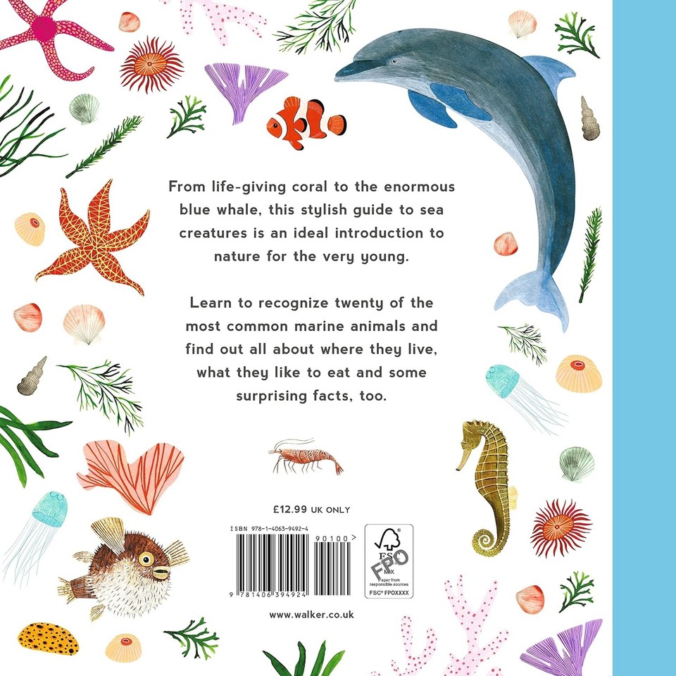 My First Book of Sea Creatures (Zoe Ingram's My First Book of...) | eBay UK