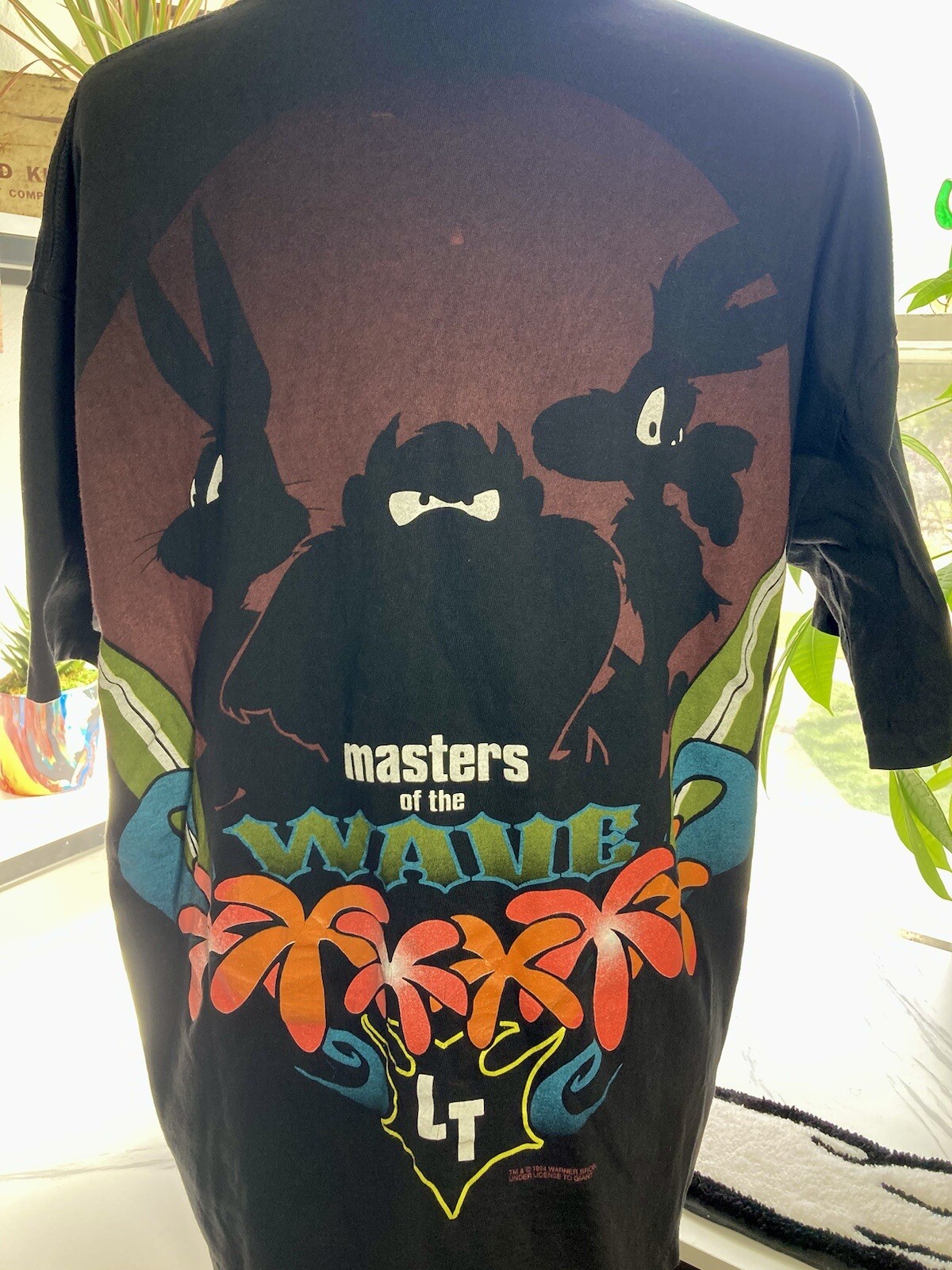 Vintage 1994 Looney Tunes Taz Masters of the Wave Sin… - Gem