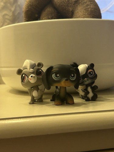 Littlest Pet Shop Lps LOT dachshund 325 AUTHENTIC dog,squirrels RARE | eBay