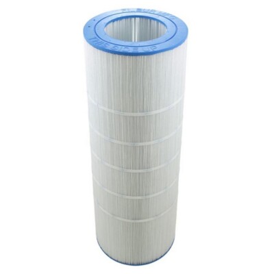 Pentair R173217 200 Sq. Ft. Cartridge Element for Clean and Clear ...