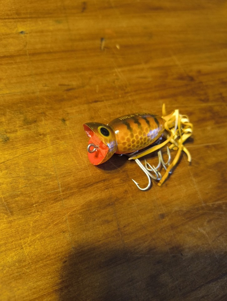 Hula Popper Fishing Lure | eBay UK