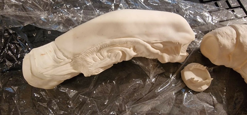 Facehugger (Halcyon) (Alien) handsigniert 1 : 1 / signed von H.R. Giger ...