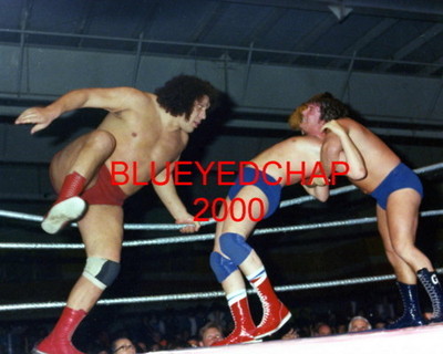 TED DIBIASE & ANDRE THE GIANT WRESTLER 8 X 10 WRESTLING PHOTO WWF NWA ...