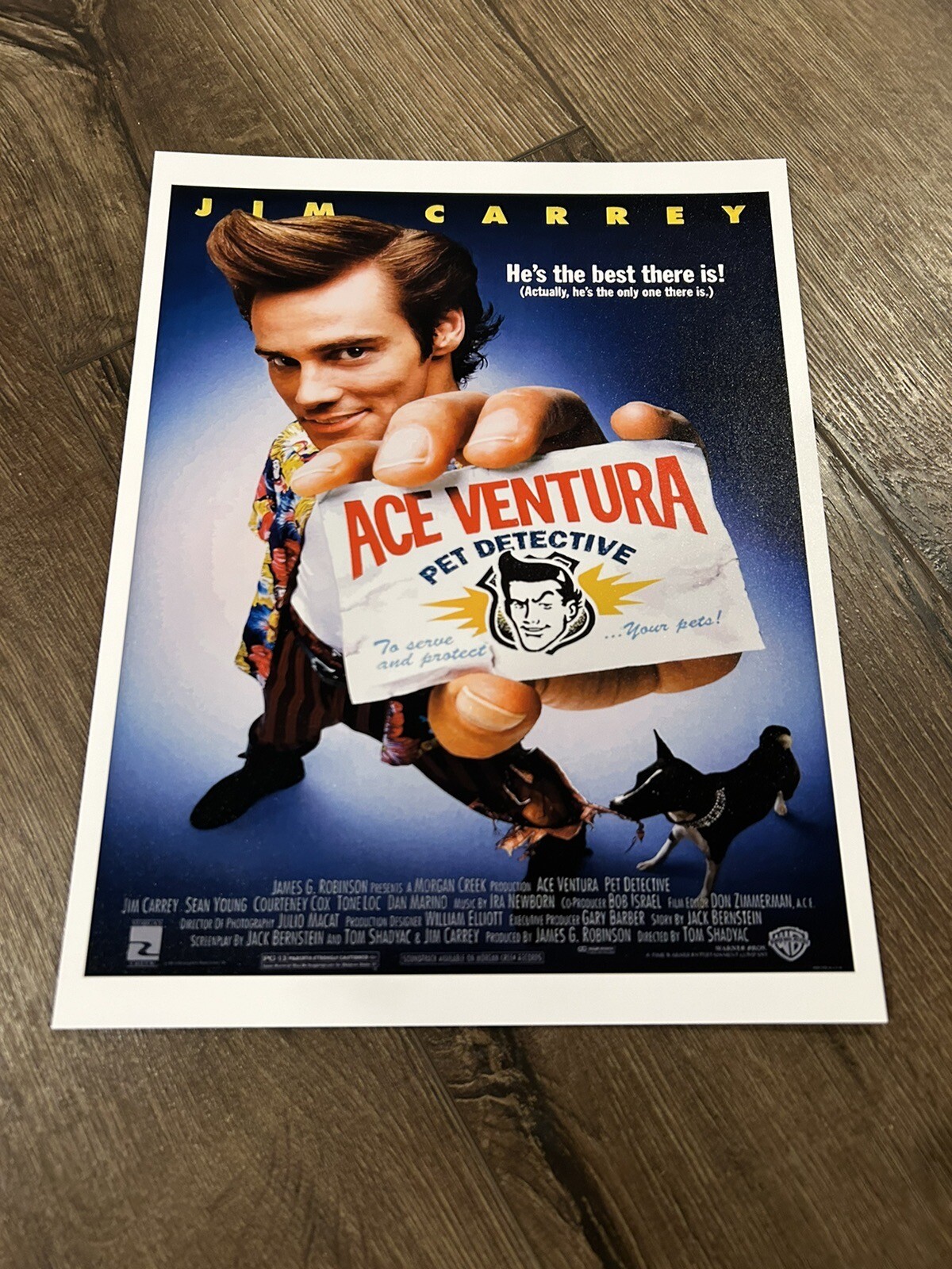 ACE VENTURA Art Print Photo 11 x 14" Parrot Movie Comedy Man Cave Decor ...