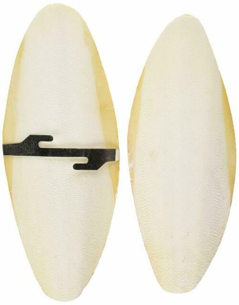 Living World Cuttlebone Large 6 Total Cuttlebones for sale online | eBay