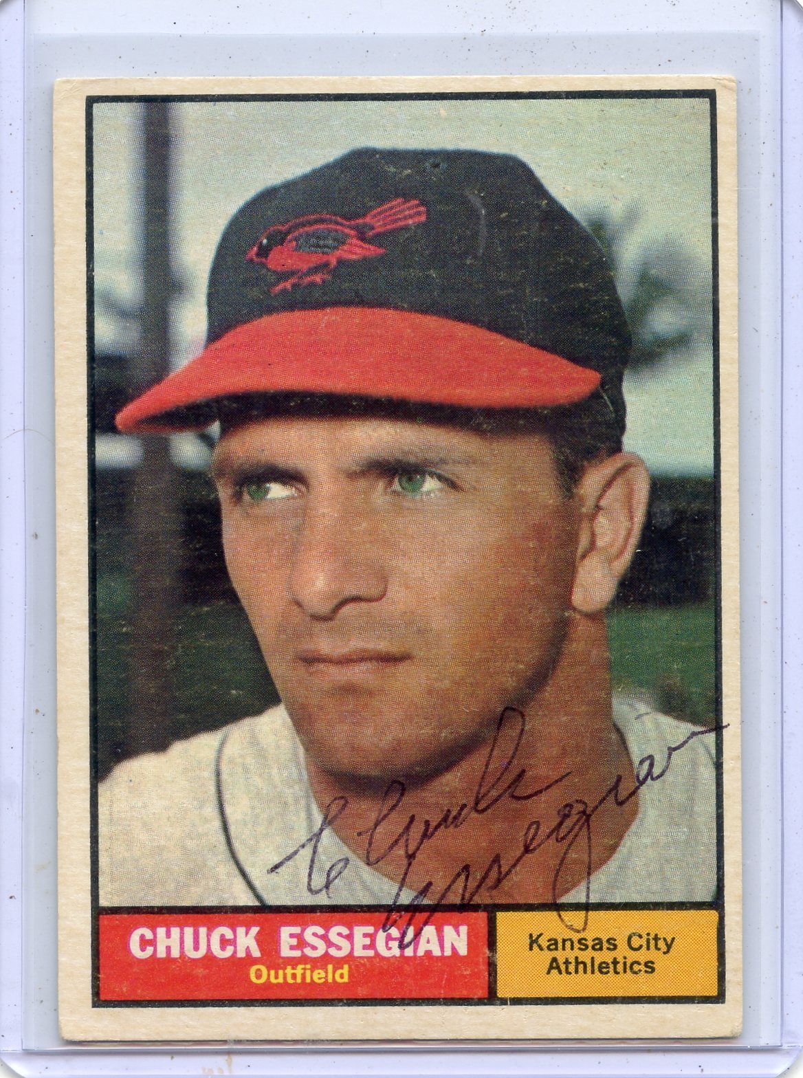 1961 TOPPS BASEBALL #384 CHUCK ESSEGIAN AUTOGRAPH, KANSAS CITY ...