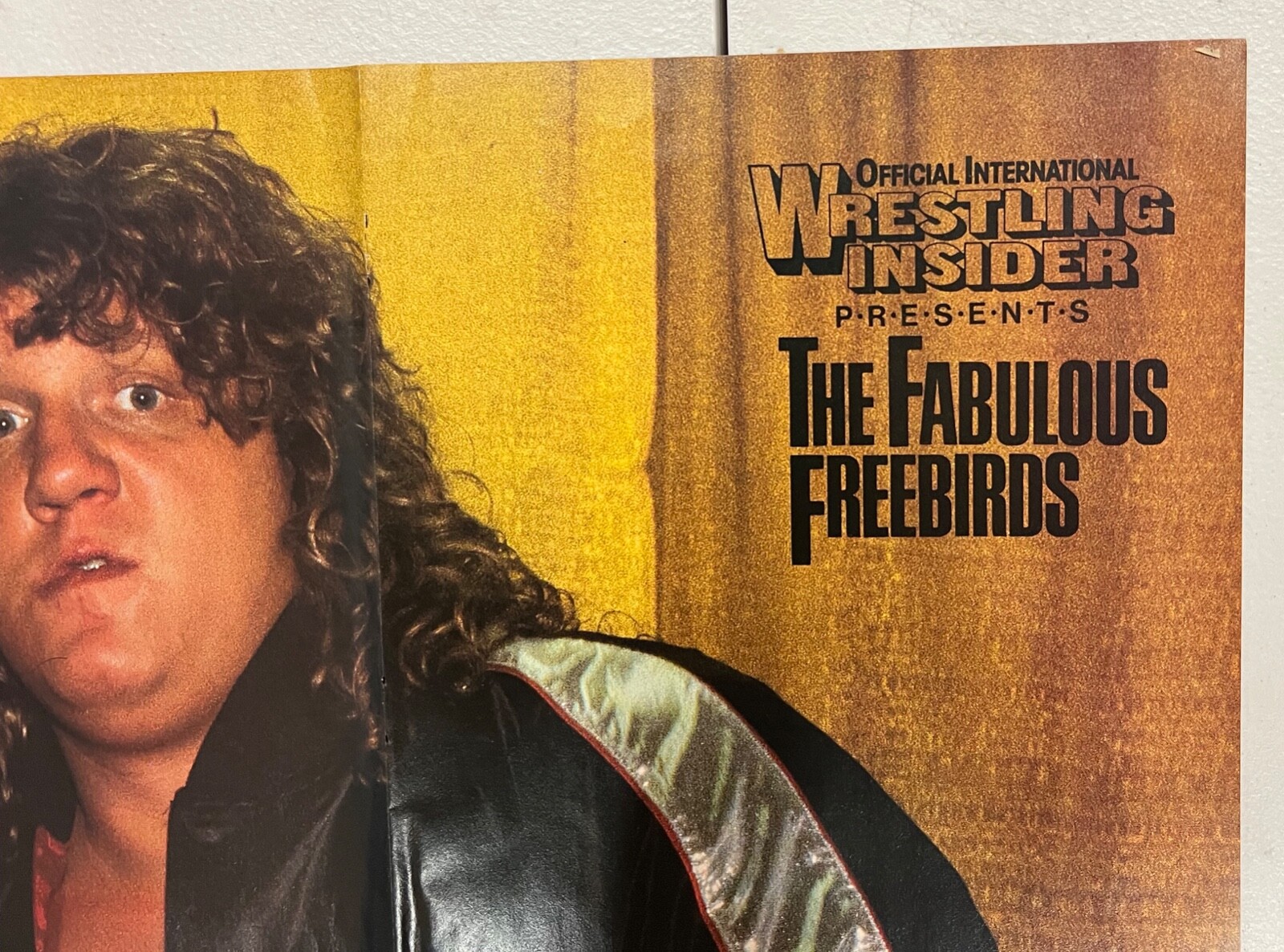 Four Horsemen Fabulous Freebirds 21x32 1980s Pro Wrestling Poster Ric ...