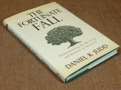 The Fortunate Fall : Understanding the Blessings and Burdens of ...