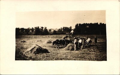 FARMING HAY real photo postcard rppc ANTIQUE AGRICULTURUAL HARVEST ...