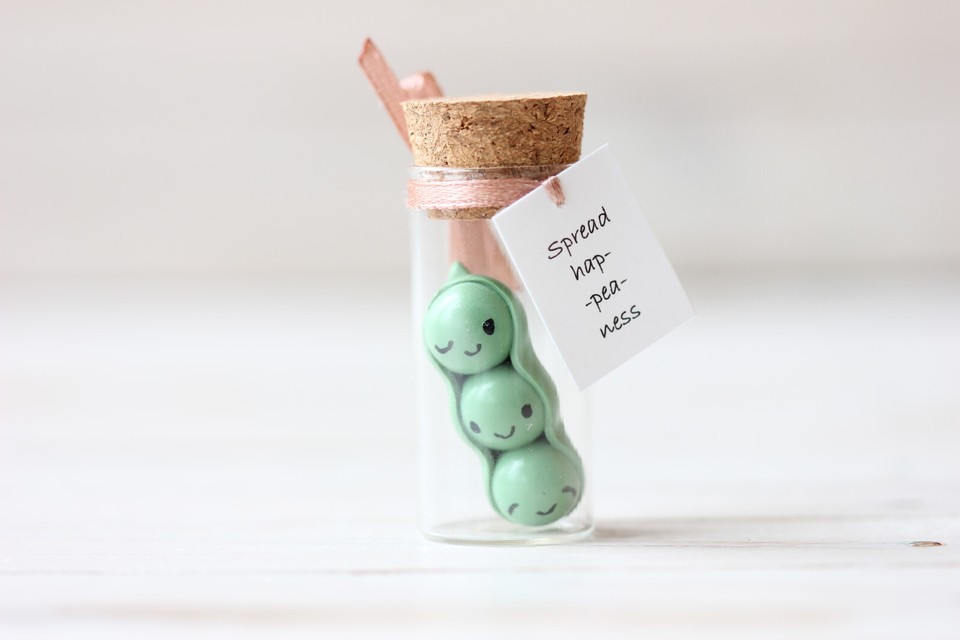 Birthday Funny Gift Party Favors Personalized Family Gift Three Peas in ...