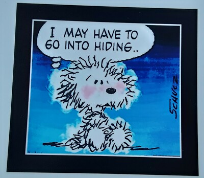 PEANUTS ♡ Hiding ♡ Snoopy ♡ Magnet ♡ | eBay