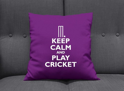 Keep Calm and Play Cricket - Cushion - Love Player England Ashes Fan | eBay