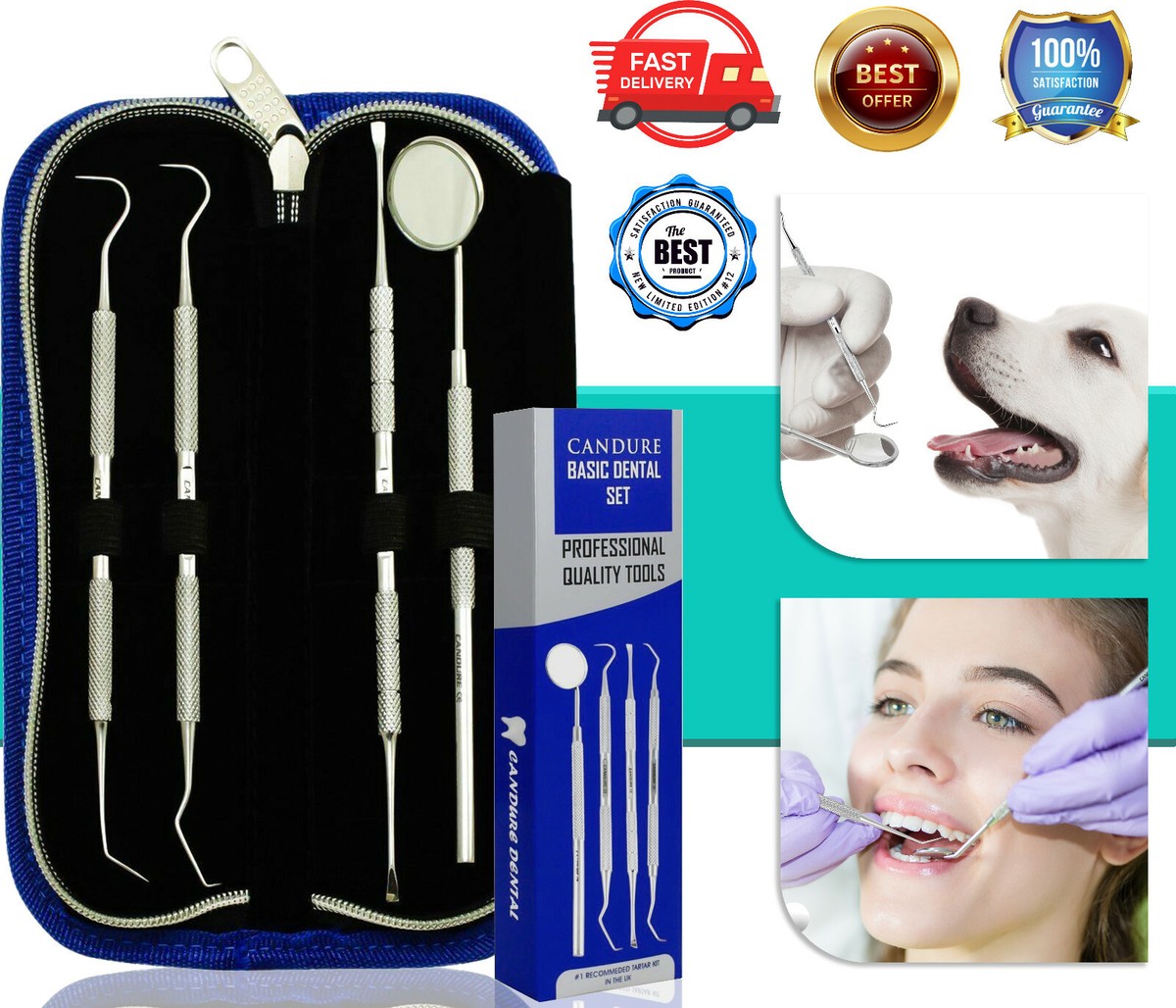 Stainless Steel Teeth Scraper Professional Dental Tools Kit - Teeth ...