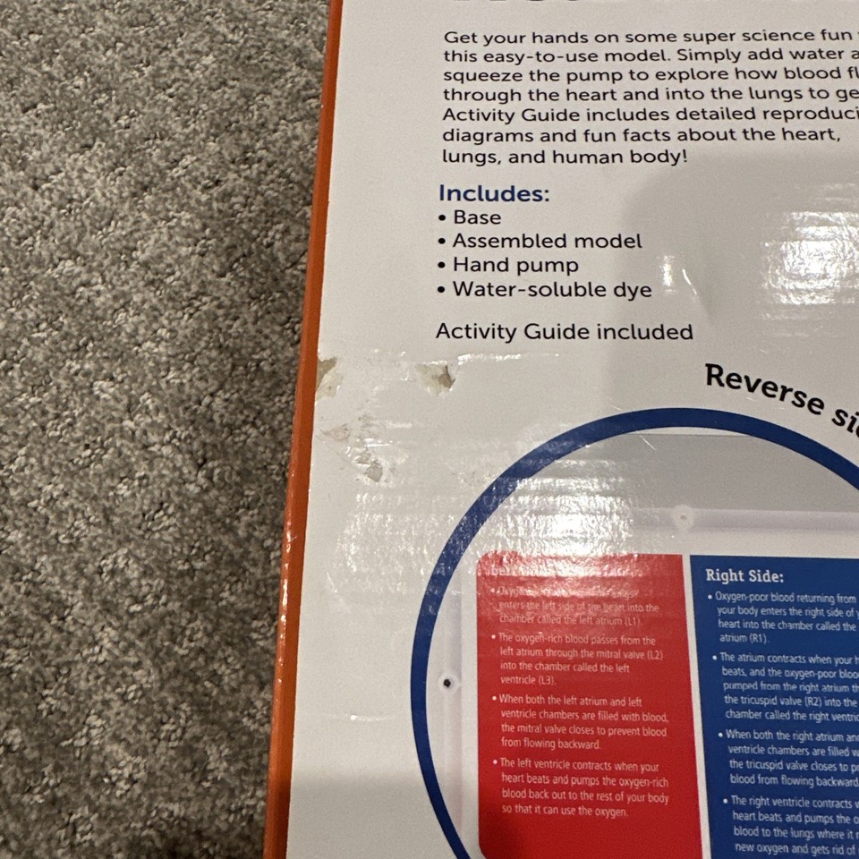 Learning Resources Pumping Heart Model Ages 8&up Science Activity Kit ...