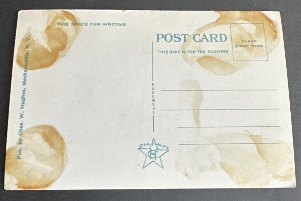 Postcard: "The Oneonta" ~ Oneonta, New York, New York | eBay