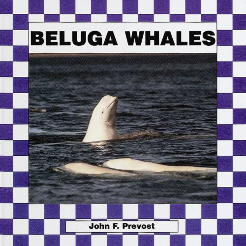 Beluga Whales by Prevost, John F. 9781562394776 | eBay