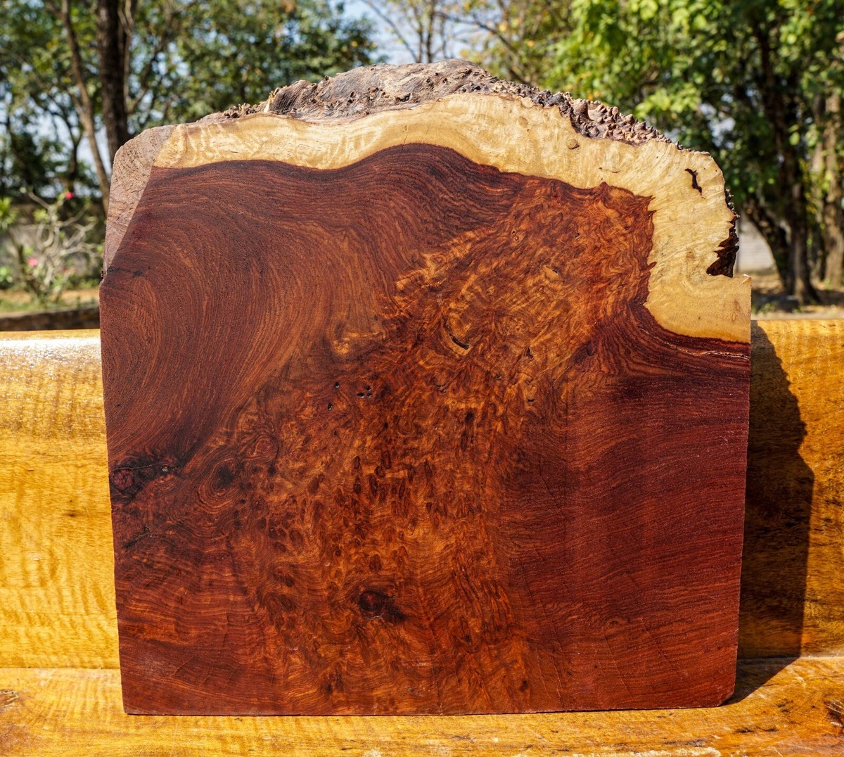 Rare Burl Wood Hey Guys, For Sale Here Today Ive Got Something Quite