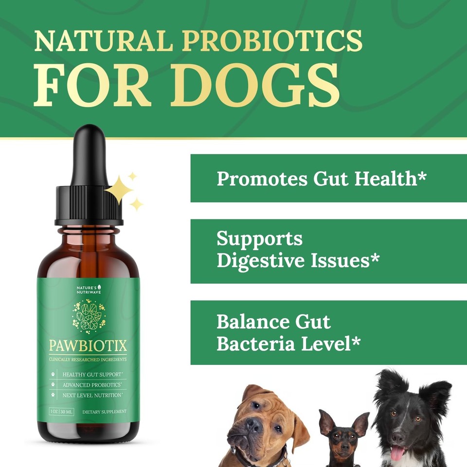 Liquid probiotics for Dogs Dog probiotics for Digestive Health 1oz ...