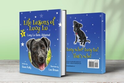 Children's Book - Life Lessons of Lucy Lu - Book 1 - Ages 5 to 10 | eBay