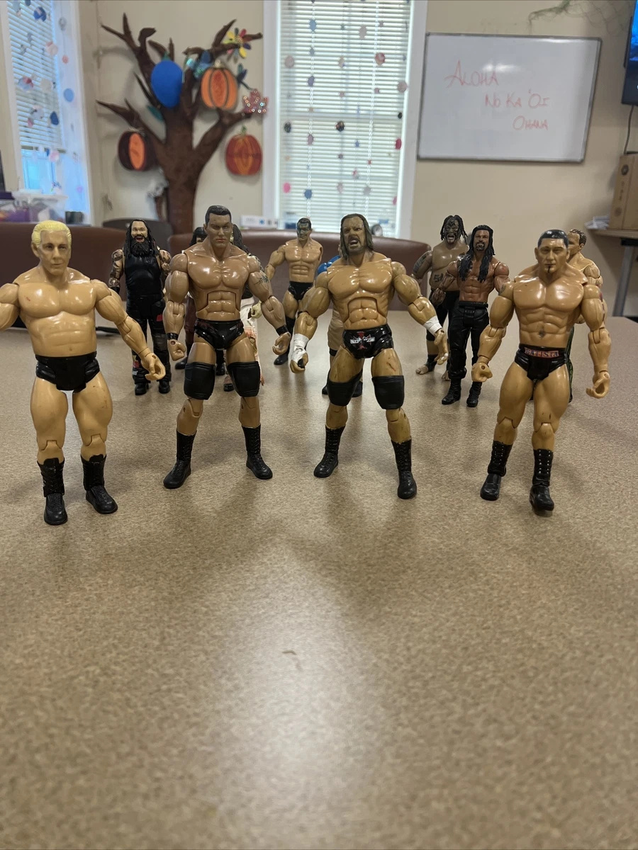 Wwe Evolution Toys