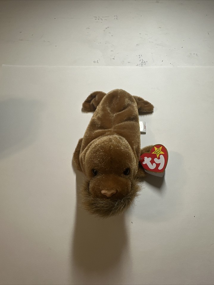 Rare Retired Ty Beanie Baby Paul The Walrus 1999 Mint P.E. Pellets With ...