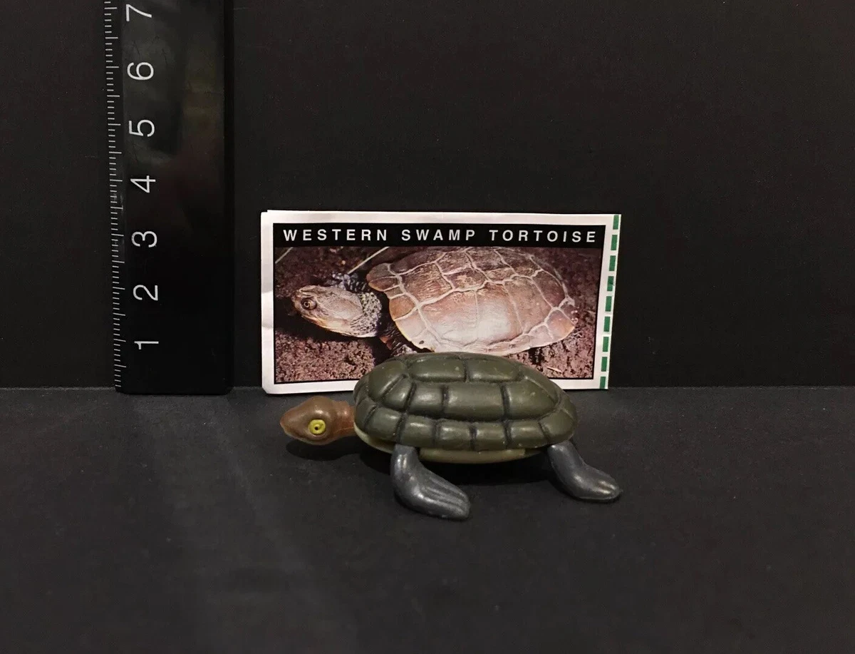 Yowies Turtle